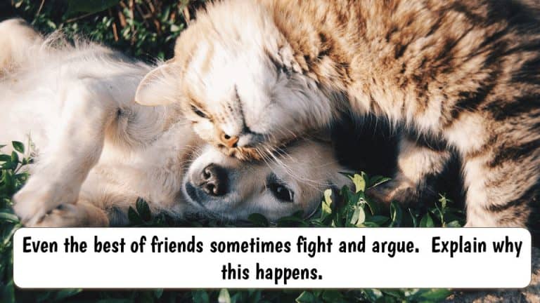 How to write Excellent Expository Essays