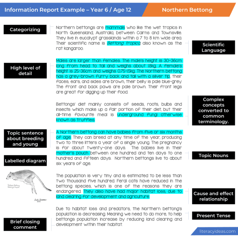 How To Write An Excellent Information Report